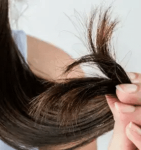 Cheveux fourchus : les causes et les meilleures solutions